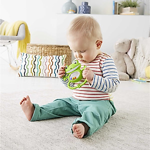 Fisher-Price Shake n Rattle Frog Green 3M+