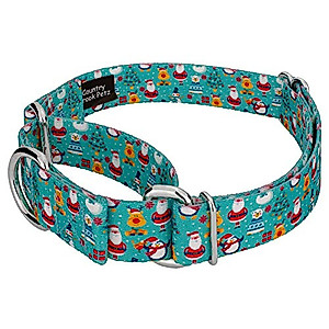 Country Brook Petz - Santa and Friends Martingale Dog Collar and Leash - Christmas Collection with 17 Festive Designs (5/8 Inch, Small)