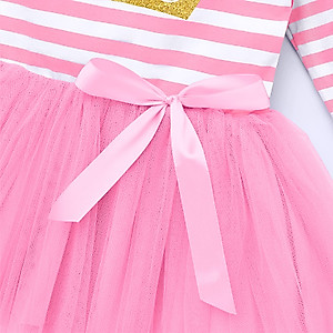 Baby Girls Shinny Striped 1st/2nd/3rd Birthday Long Sleeve Printed Princess Cake Smash Tutu Tulle Dress Toddler Kids Outfit Pink Crown (Two Year) One Size