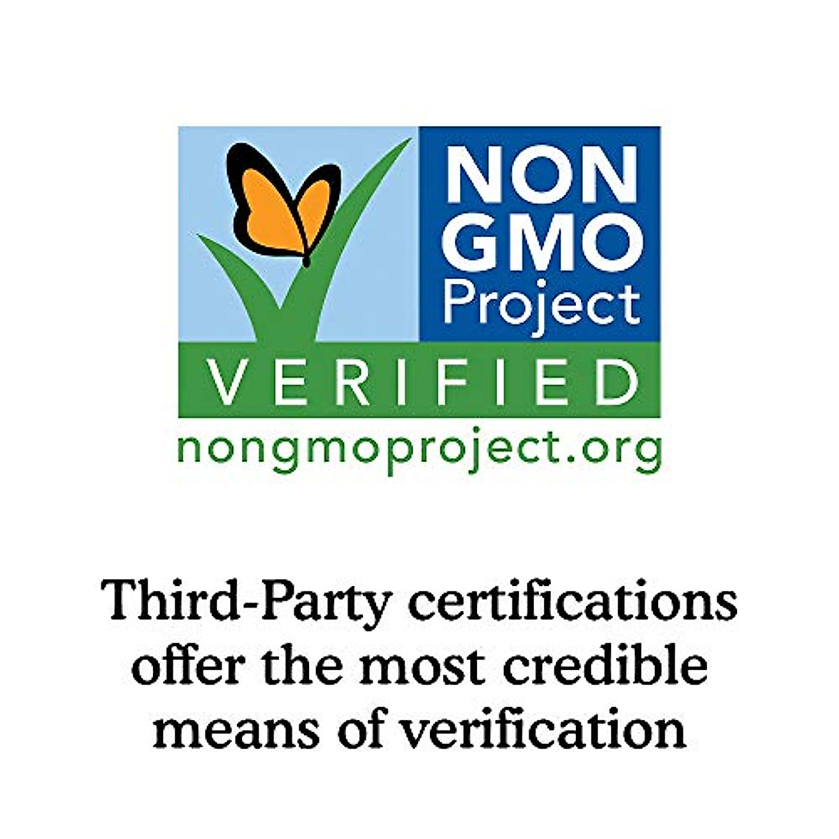 Garden of Life Super Seed - Vegetarian Whole Food Fiber Supplement with Protein and Omega 3, 1 Lb 5oz (600g) Powder