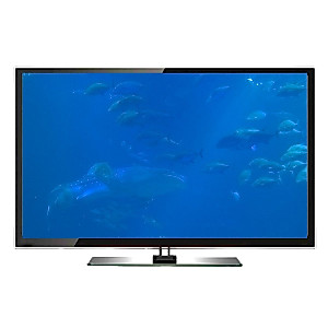 Underwater DVD - Ocean Dreaming - Relaxing Scenes of Corals and Tropical Fishes