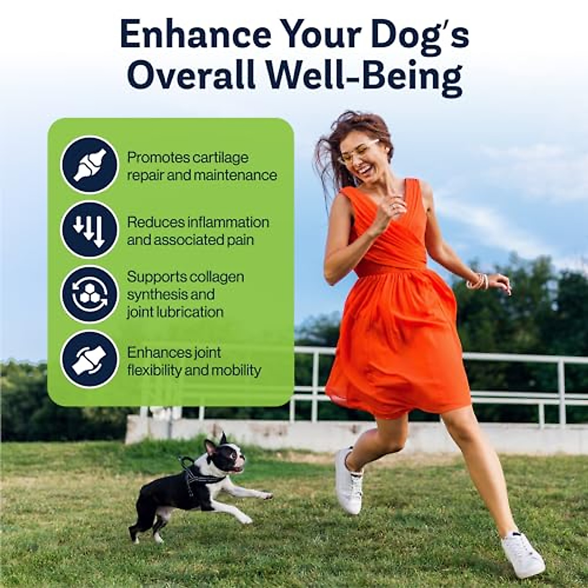 Level Up Pup Dog Hip & Joint Supplement and Inflammation Relief with Glucosamine, Chondroitin, MSM, Hyaluronic Acid, Green Lipped Mussel, Turmeric, and Vitamin E. 60 Peanut Butter Flavor Soft Chews.