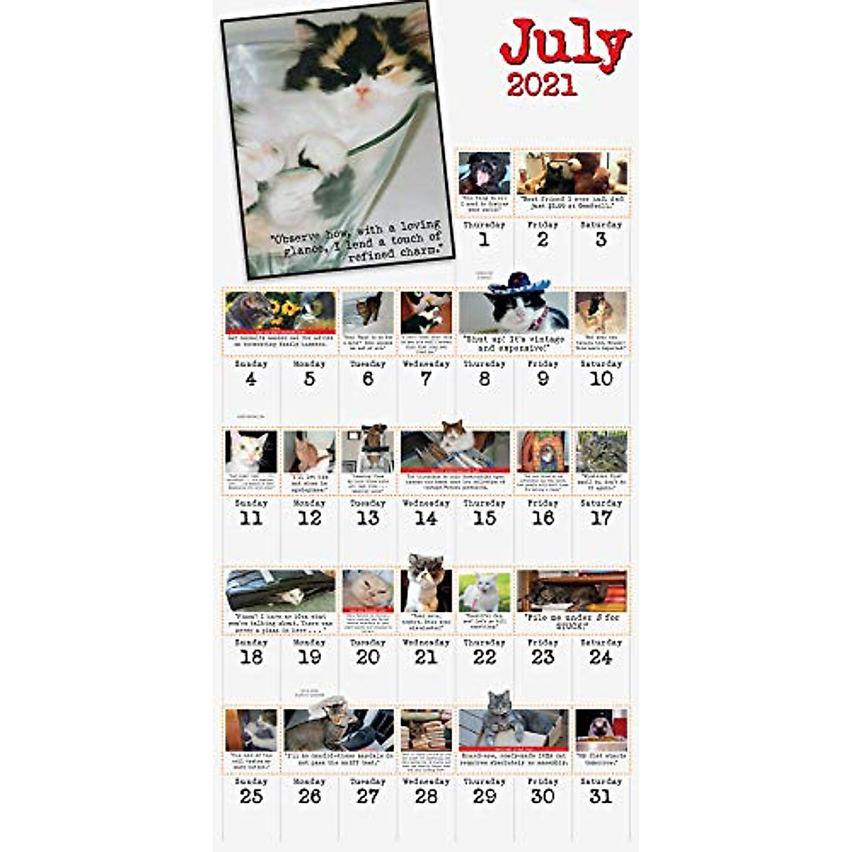 Bad Cat Wall Calendar 2021