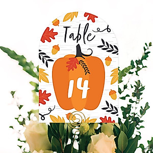 Big Dot of Happiness Fall Pumpkin - Halloween or Thanksgiving Party Double-Sided 5 x 7 inches Cards - Table Numbers - 1-20