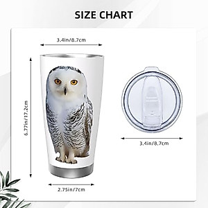 jshmgchw 3d Owl 20oz Tumbler, Car Cup With Lid And Straw, Spill-Proof, Stainless Steel Double Wall Vacuum Insulated Reusable Coffee Travel Mug, For Cold Drinks, Hot Beverage