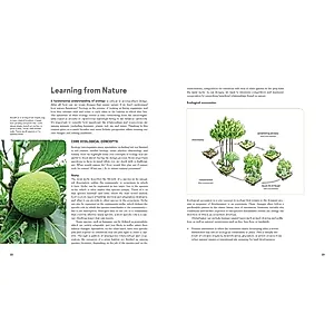 Practical Permaculture: for Home Landscapes, Your Community, and the Whole Earth