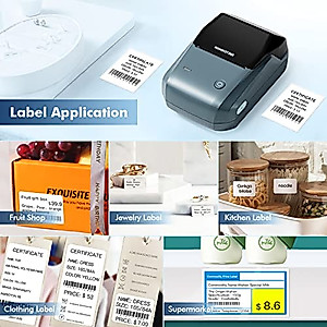 2 Inch Label Printer B1 with Tape, Wireless Bluetooth Portable Sticker Maker, Small Business Thermal Printer, Compatible iOS & Android, for All Purpose Barcode Address Text Labels (Grey)
