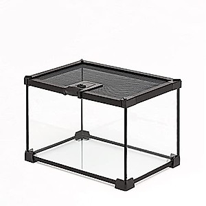 PetWoW 3 Gallon Mini Reptile Glass Tank - 12" x 8" x 8" Full View Natural Terrarium for Reptile, Amphibian, Turtle, Lizard, Snake and Frog