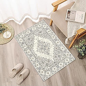 GEVES Grey Oriental Rug 2x3 Boho Entryway Rugs for Bedroom Kitchen Bathroom Decor Doormat Washable Indoor Use Non-Slip Rubber Backing