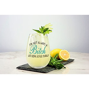 I'm Not Always, Just Kidding Funny Stemless Wine Glass Gifts for Women, Gag Christmas Birthday Gifts Ideas for Girlfriends, Women, Sister, Friends, BBF, Coworkers, Unique Friendship Wine Glass, 17oz