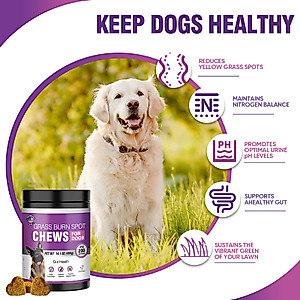 Grass Burn Spot Chews for Dogs Dog Pee Grass Neutralizer 200 Green Grass Dog Chews Urine Lawn Spot Protector Urinary Tract Support Dog Bladder Support Cranberry, Apple Cider Vinegar, DL-Methionine