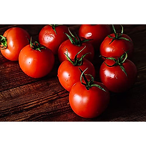 New Girl F1 Tomato Seeds for Planting, 20+ Heirloom Seeds Per Packet, (Isla's Garden Seeds), Non GMO Seeds, Botanical Name: Lycopersicon lycopersicum, Great Home Garden Gift