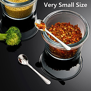 8 PCS Tiny Stainless Steel Spoons for Spices Jars, Mini Size 2.87", Cute Small Stainless Steel Condiment Spoons for Spices, Salt, Sugar, Pepper, Honey, Asanta Fun Little Scoops