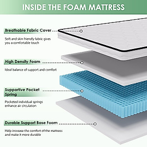 PayLessHere 10 Inch Innerspring Queen Mattress Medium Firm Hybrid Mattress with Removable Cover CertiPUR-US Certified Bed-in-a-Box Pressure Relief Foam Mattress,White