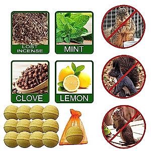 Squirrel Repellent 12 Pack, Chipmunk Repellent Outdoor, Natural Squirrel Repellent & Mint Squirrel Deterrent for Bird Feeders/Garden/Attic,Safe Around Kid & Pets, Keep Squirrel Away for Plants
