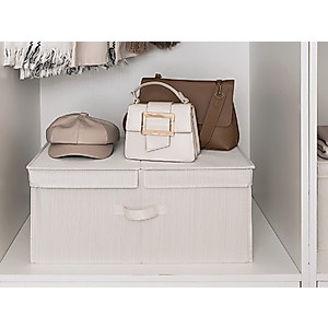 StorageWorks Storage Box with 3-Pack Closet Storage Bins