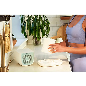 Canopy Humidifier PLUS Filters - HUMIDIFIER PLUS ONLY - DOES NOT FIT BEDSIDE OR NURSERY - Pack of 1 Filter - Made with Wood Pulp, Paper Filter, Replace Every Six Weeks