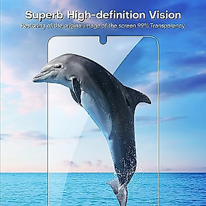 Rayboen Case for Galaxy S21+ Plus 5G with Screen Protector Soft(2Pcs), Crystal Clear Designed Shockproof Phone Case, Hard PC Back Soft TPU Frame Slim Transparent Cover for Samsung Galaxy S21+ Plus