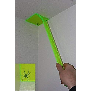Spider Fighter Handheld Spider Killer. Transparent for Accuracy with Angle for Ceilings, Corners and Many Other Places. Can You or Your Family Eat or Sleep with a Spider on Your Ceiling? – Qty. 1