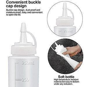 Condiment Squeeze Bottles, Abnaok 2-Pack 8 oz Food Grade Plastic Squeeze Condiment Bottles with Twist On Cap Lids for Sauces, Paint,Oil, Condiments,Salad Dressings, Arts and Crafts