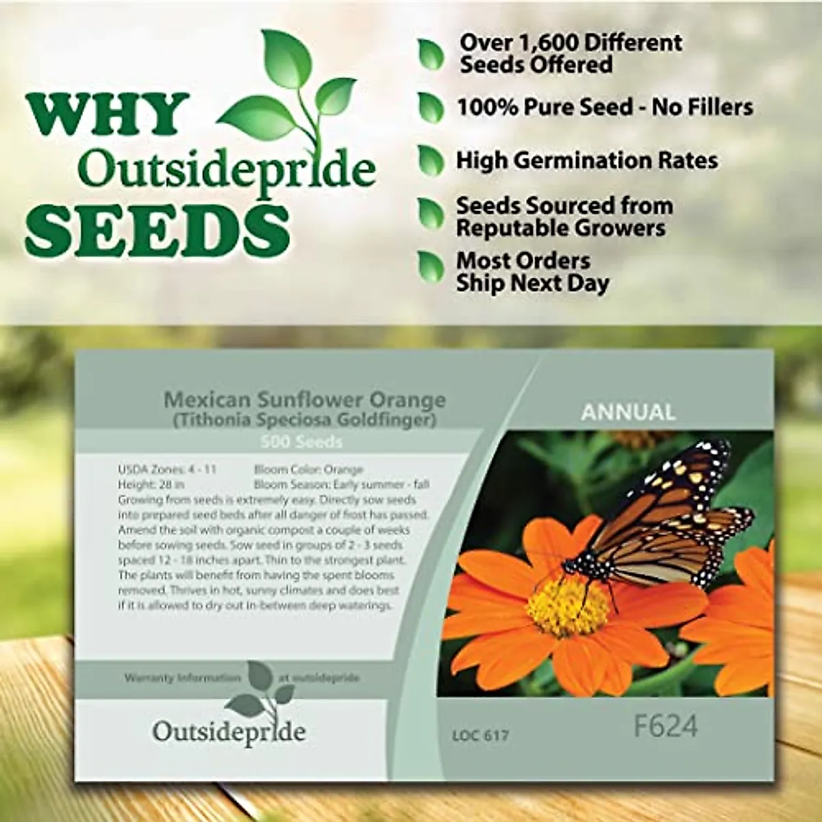 Outsidepride Orange Tithonia Mexican Sunflower Garden Cut Flower Plant - 500 Seeds