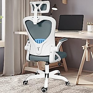 MUZII Office Chair with Headrest, Mesh Office Chair, Ergonomic Mesh Office Chair with Lumbar Support, Desk Chair with Wheels, Task Chair with Arms Executive Office Chair for Home Office, Grey