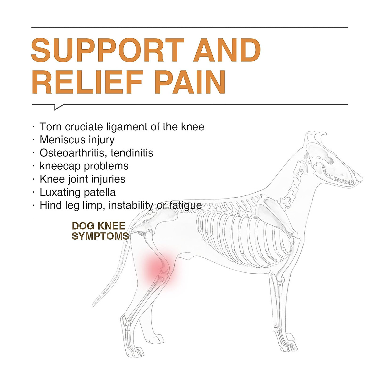 LISPOO Dog Acl Knee Brace for Torn Acl Leg，Luxating Patella，Dog Knee Braces for Back Leg Warm Joint and Relieves Joint Pain,Better Recovery with Dog Acl Knee Brace(L)