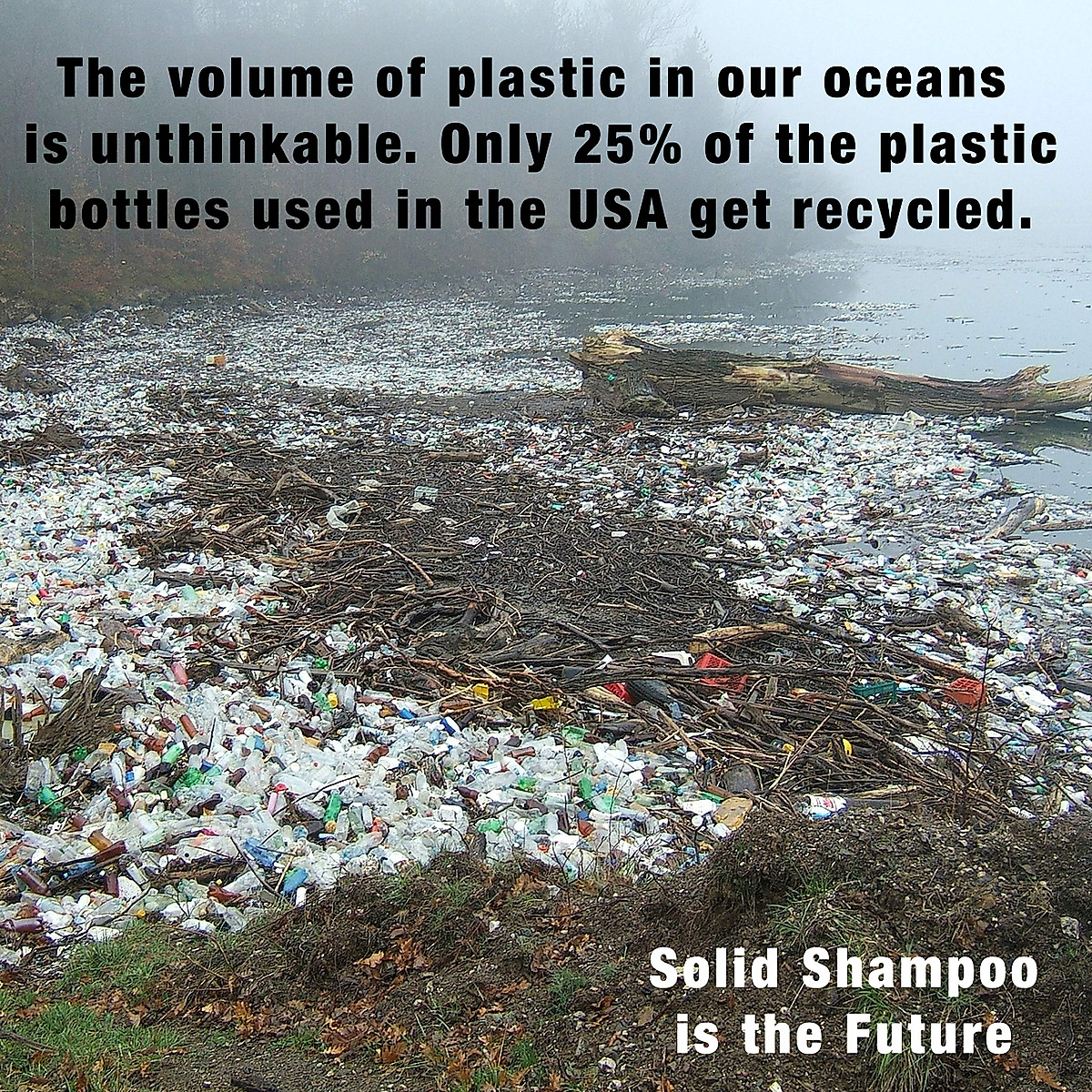 2% Pyrithione Zinc Shampoo Bar with Shea Butter by Grace of Me (4 Oz) (Lavender)