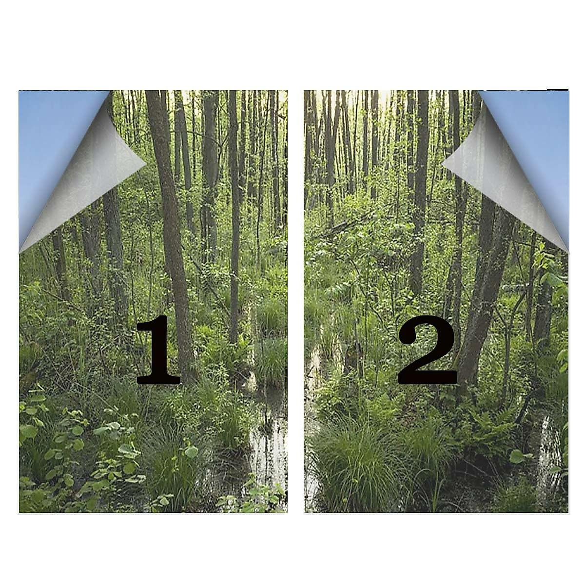 Forest Green Window Privacy Film Frosted Glass Static Cling Bathroom Door Covering Sun Blocking Window Sticker Home Decoration Forest Summer Forest Nature Themed Privacy Film 27.6Wx39.4L-inch x2 Pcs