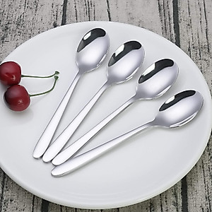 Zerdyne 12-Piece Stainless Steel Teaspoon, Small Spoon