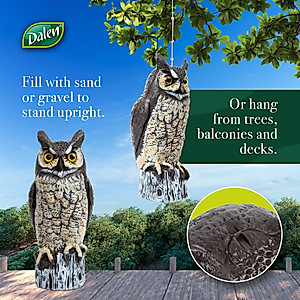 Dalen Large Fake Owl Decoy to Scare Birds Away - Garden Scarecrow Provides Natural Pest Control - 16" Tall - Great Horned Owl