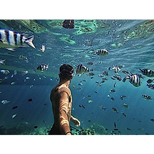 The Handler (Floating Hand Grip) - Official GoPro Accessory (AFHGM-003) for Cameras