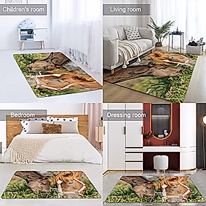 ERUXUGB Cutest Baby Animals | Horse Colt Coral Velvet Floor mat（150×100cm）