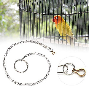 ViaGasaFamido Bird Leash, Stainless Steel Bird Foot Chain with Ring Parrot Ankle Foot Ring Anti-bite Outdoor Flying Training Rope(Grey Parrot)