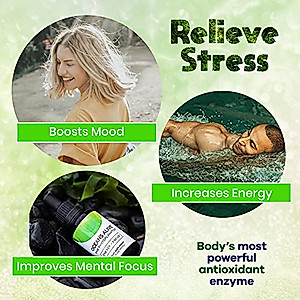 Chlorophyll Algae Supplement, Chlorophyll Marine Phytoplankton by Activation Products 1 Month Supply | Oil Memory and Focus Mineral Trace Supplements - Microalgae Oil for Energy and Stress - 30 ml