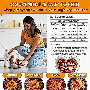 Olewo Original Carrots for Dogs – Fiber for Dogs Keep Poop Firm, Digestive Dog Food Topper, Skin & Coat Support, Dehydrated Whole Food Dog Multivitamin, Gut Health for Dogs, 2.2 lbs