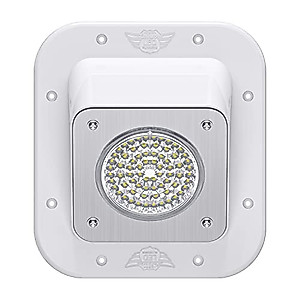 Leisure LED RV Exterior Surface Mount Flood Porch Utility Light - White 12v 1100 Lumen Lighting Fixture Replacement Lighting for Weekend Warrior RVs, Trailers, Campers, 5th Wheels (White)