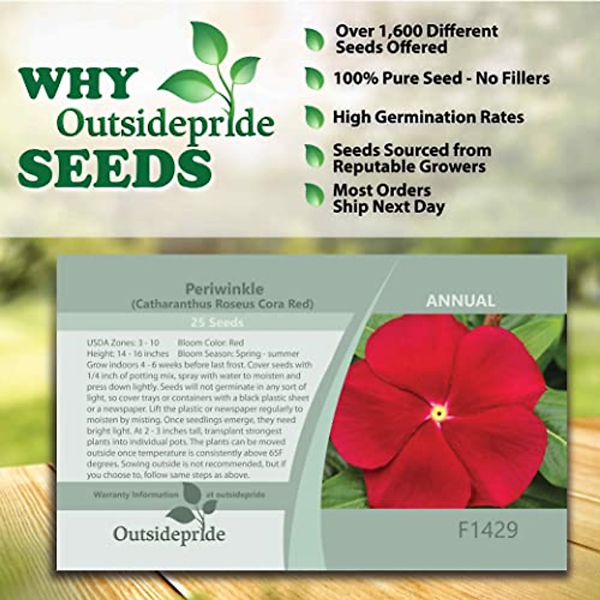 Outsidepride Vinca Periwinkle Cora Red Garden Flower, Ground Cover, & Container Plants - 25 Seeds