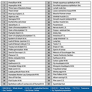 60 Microscope Slides with Specimens for Kids, Prepared Microscope Slides for Kids Microbiology, Prepared Microscope Slides for Adults