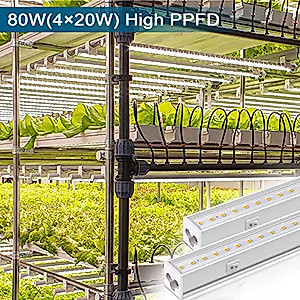 Barrina T5 Grow Lights, Full Spectrum Plant Growing Lamp, 4ft 80W (4 x 20W, 500W Equivalent), LED Grow Light Bulbs, Grow Light for Indoor Plants, Greenhouse, Plug and Play, Yellow, 4-Pack