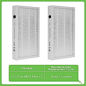 Hichoryer F1 Filter Allergen Reduction, Replacement Filter Compatible with Filtrete C01 T02 Room Air Purifier FAP-C01-F1 and FAP-T02-F1,2 Pack
