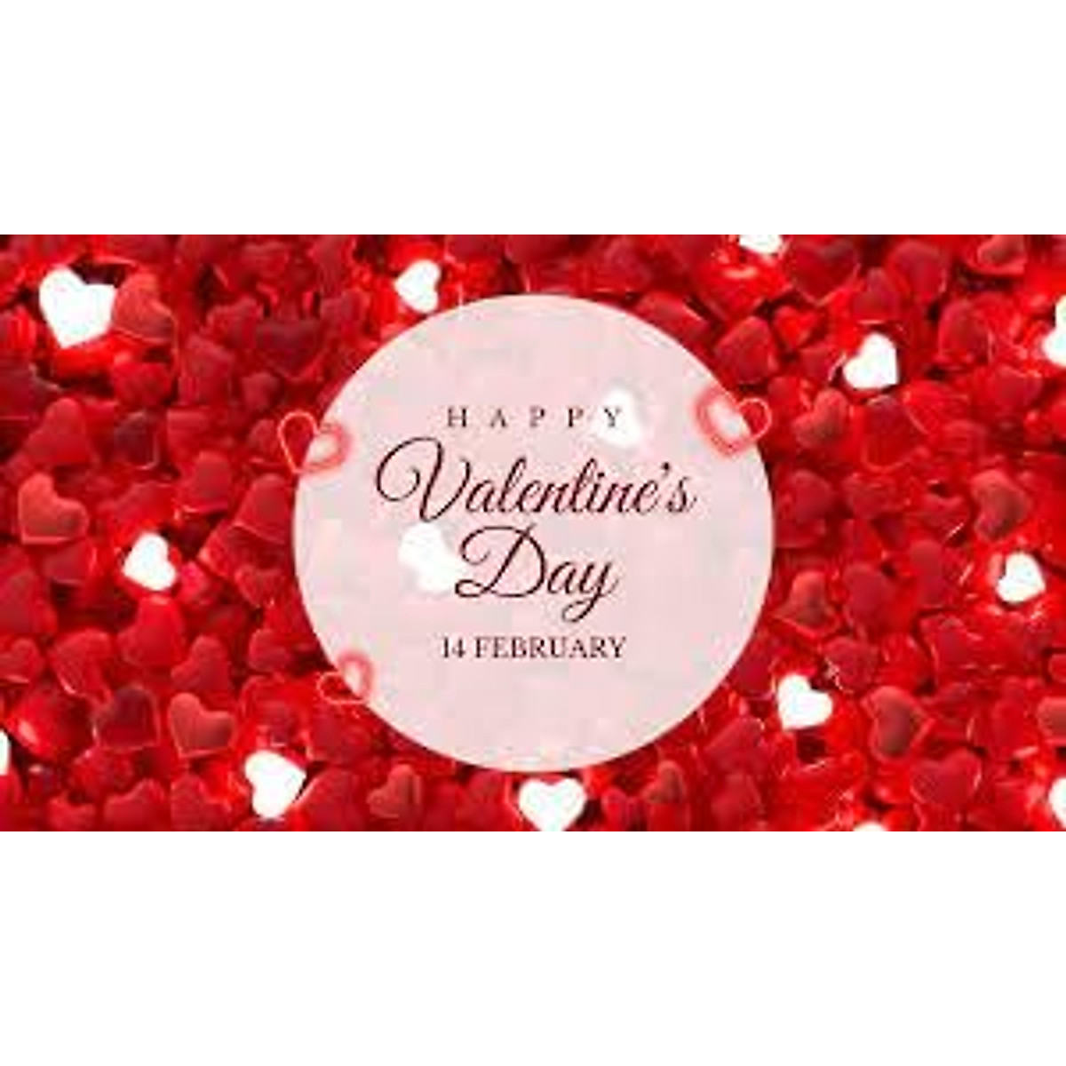 SHASH Everyday 100% Boar Bristle Hair Brush - Made in Germany | Suitable For Thin To Normal Hair, Firm, and Naturally Conditioning | Enhance Texture, Exfoliate, and Stimulate the Scalp