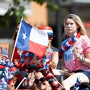 Anley Texas State Mini Flag 12 Pack - Hand Held Small Miniature TX Lone Star Flags on Stick - Fade Resistant & Vivid Colors - 5x8 Inch with Solid Pole & Spear Top