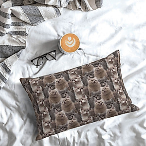 Bed Pillow Protector Zippered Camo-Kitty-Cute-Shorthair-Cat Soft Pillow Case Cover 20x30 Inches