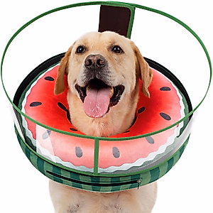 Didopet Inflatable Dog Cone, Watermelon Dog Donut Collar After Surgery, Dog Cone Alternative with Detachable Anti-Licking Shield, Soft Dog Cone for Large Medium Dogs Does Not Block View
