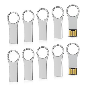 RAOYI 10 Pack 2GB Metal Key Shape USB Flash Drive, USB 2.0 Memory Stick Thumb Drives Jump Drive-Silver