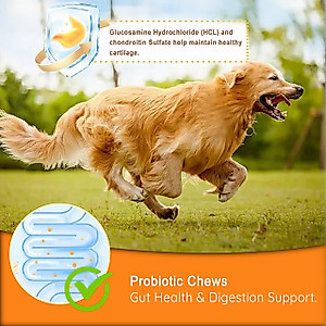Munchy Chomps Probiotics Chews for Dogs - Gut Health & Digestion Support with PreforPro & Bacillus Subtilis - Promotes Bowel Regularity & Immune Strength (Chicken)