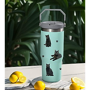 Cat Tumbler for Cat Owners, 30oz Stainless Steel Vacuum Insulated Water Bottle (Cat-Seaform)