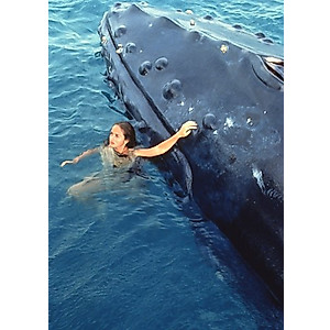 Ocean Girl - Complete Series - 18-DVD Box Set ( Ocean Girl (78 Episodes) ) [ NON-USA FORMAT, PAL, Reg.2 Import - Germany ]