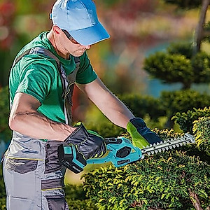 DURATECH 20V Cordless Hedge Trimmer Grass Shears Combo, 2-in-1 Handheld Shrubbery Hedge Trimmer Electric Rechargeable Grass Cutter for Garden - 2.0 Ah Lithium-Ion Battery and Quick Charger Included